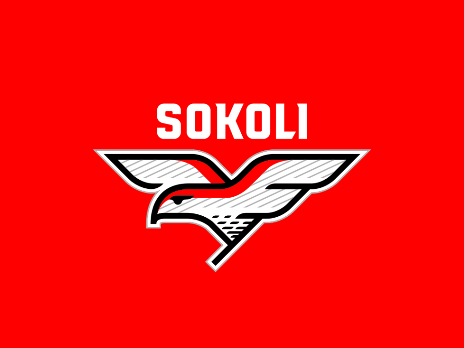 SOKOLI Pardubice | IDENTITY – grafické studio & agentura